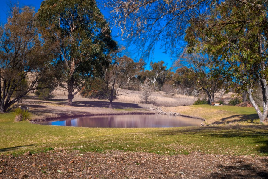 Inverell Caravan Park - Accommodation - Sapphire City Caravan Park Top ...